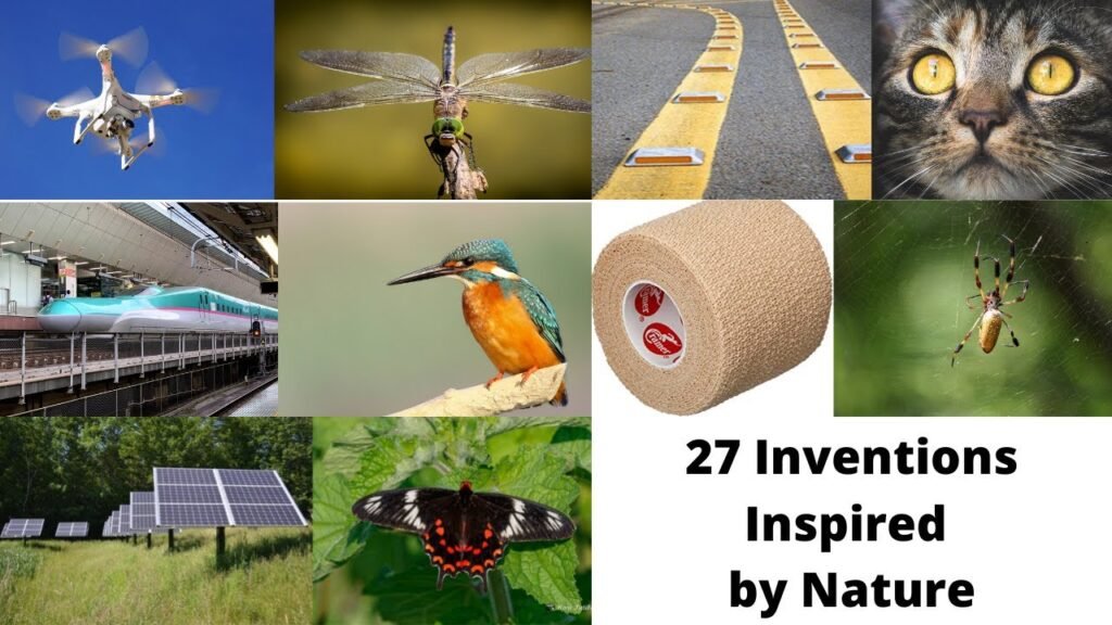 BIOMIMICRY: Net Zero Nature based on 3.8 Billion years of History ...