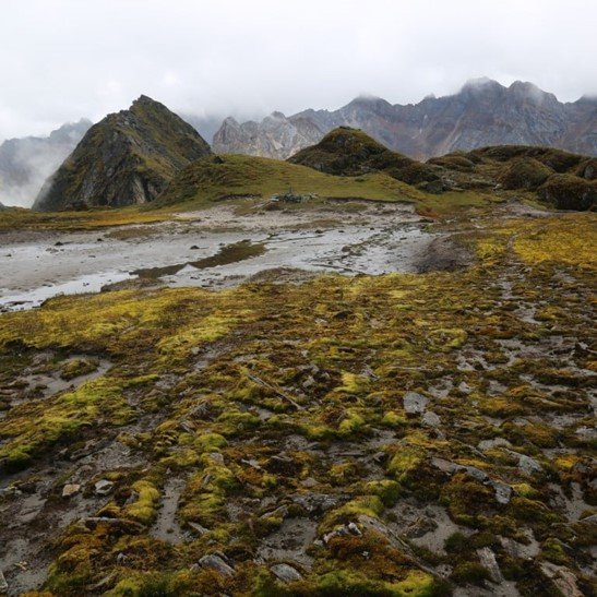 NEPAL- Leonardo Di Caprio Supports Nepalese in their Supreme Court ...